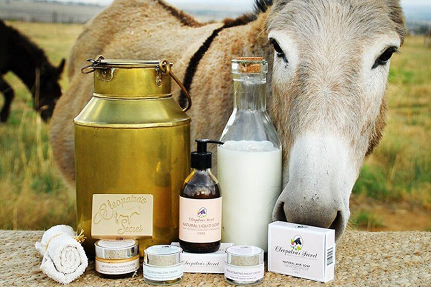 Donkey Dairy - ontdek jou innerlike Kleopatra - Grond tot Mond
